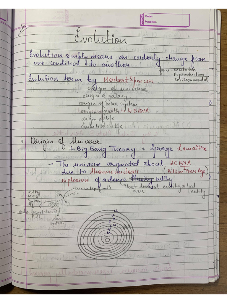 Evolution Notes | PDF