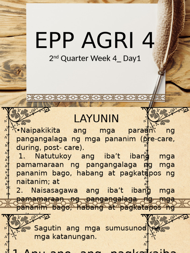 Q2 Epp Agri 4 Week 4 Day1 | PDF