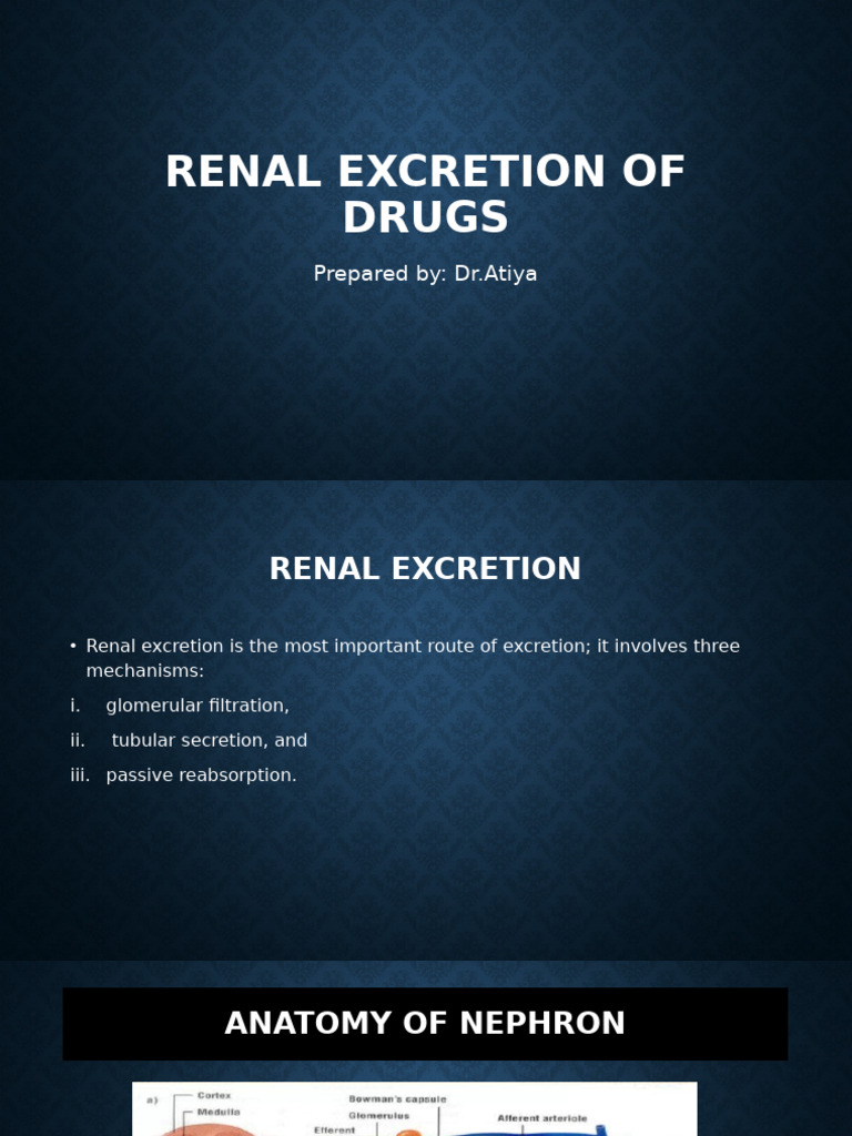 Renal Excretion of Drugs | PDF | Kidney | Urinary System
