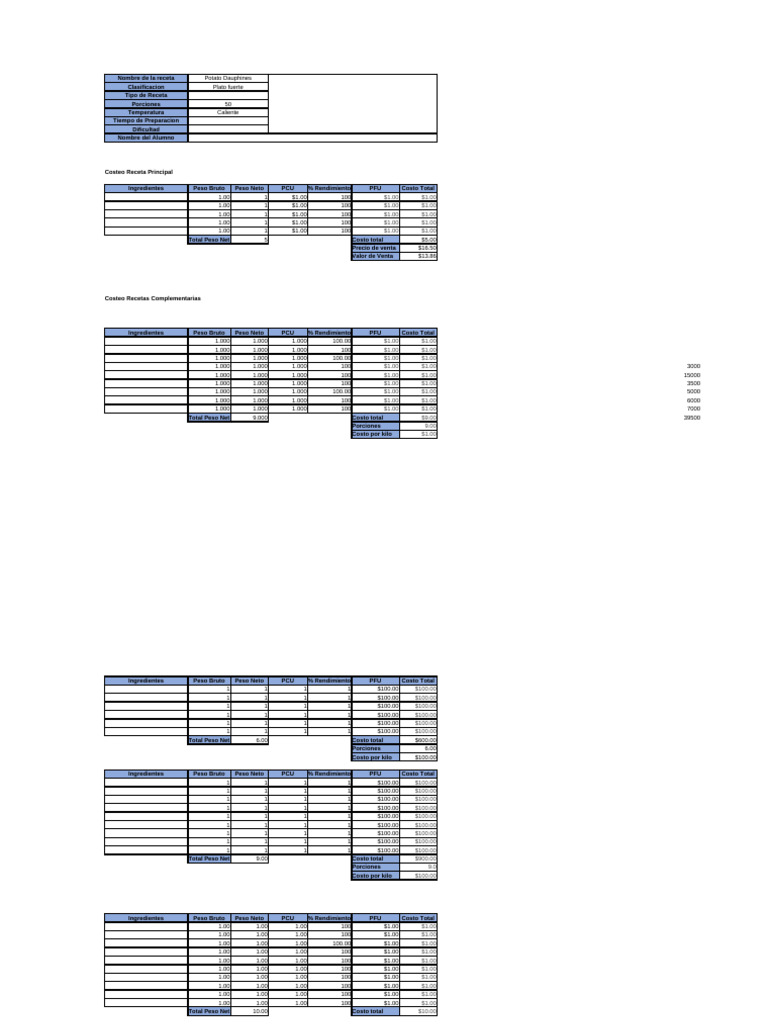 Formato de Costeo V3 2024 | PDF