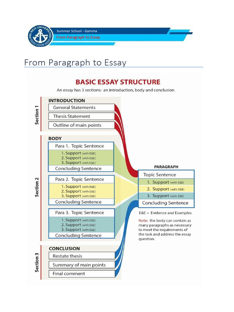 SS Gamma Writing Material - Week 3 & 4 | PDF | Essays | Dogs