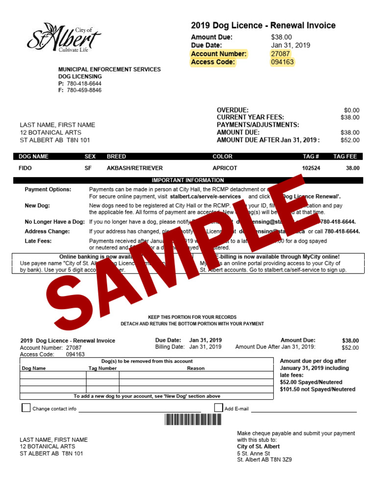 Example Dog Licence Invoice | PDF | Payments