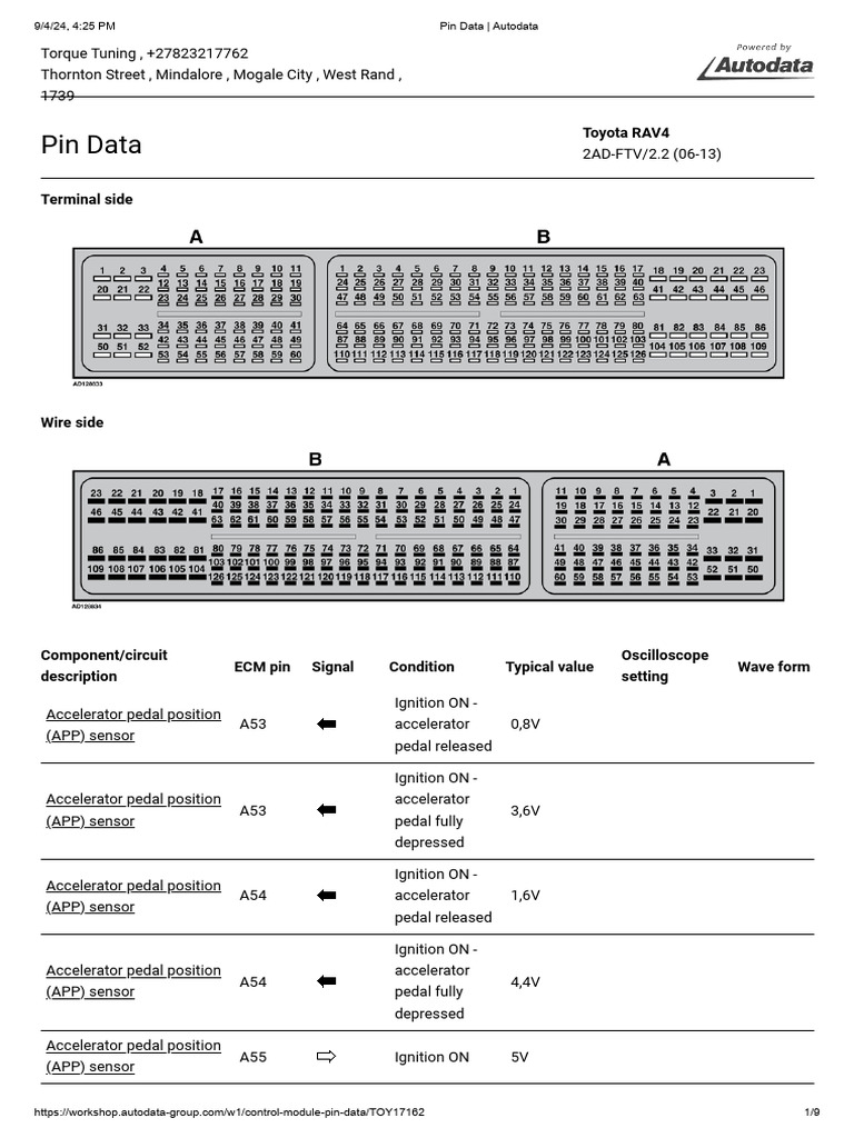 Pin Data _ Autodata | PDF | Combustion | Diesel Engine