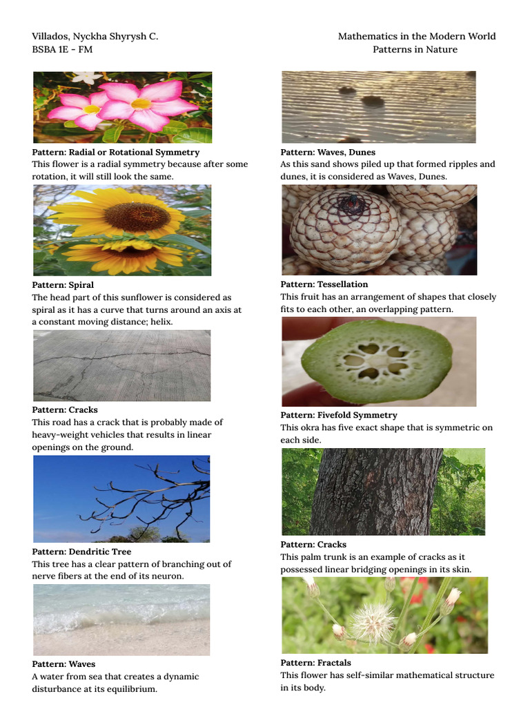 MMW Assignment | PDF