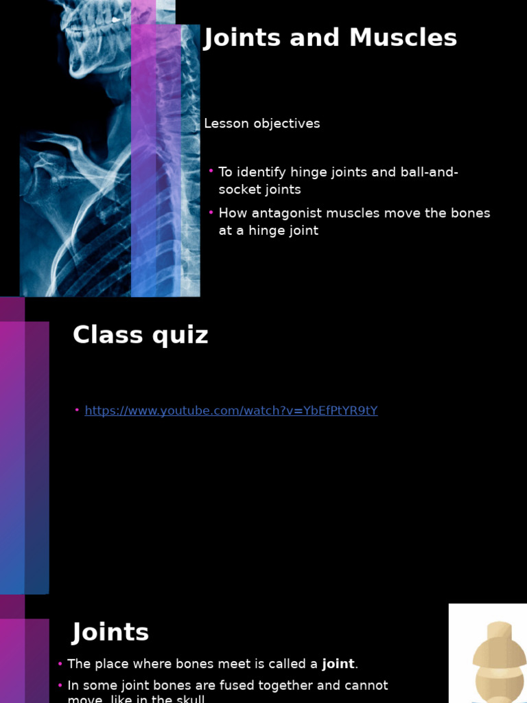 CH 1 - Joints and Muscles | PDF