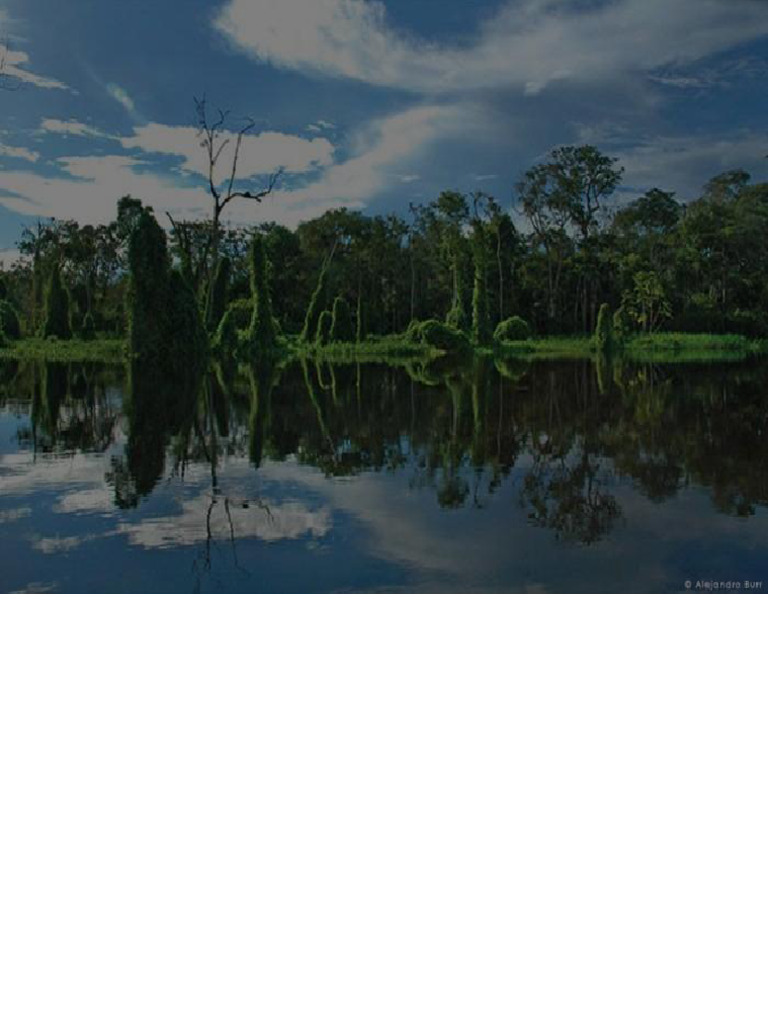 Triptico Pando Ampliado | PDF | Alimentos | Cocina