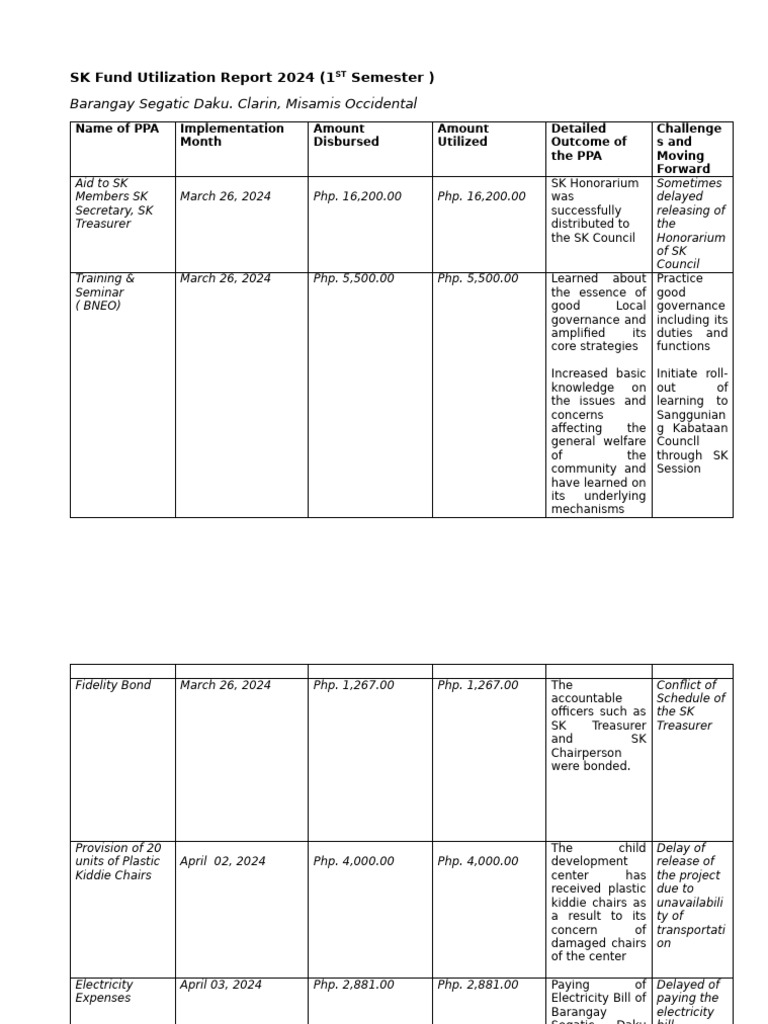 SK Fund Utilization Report 2024 | PDF