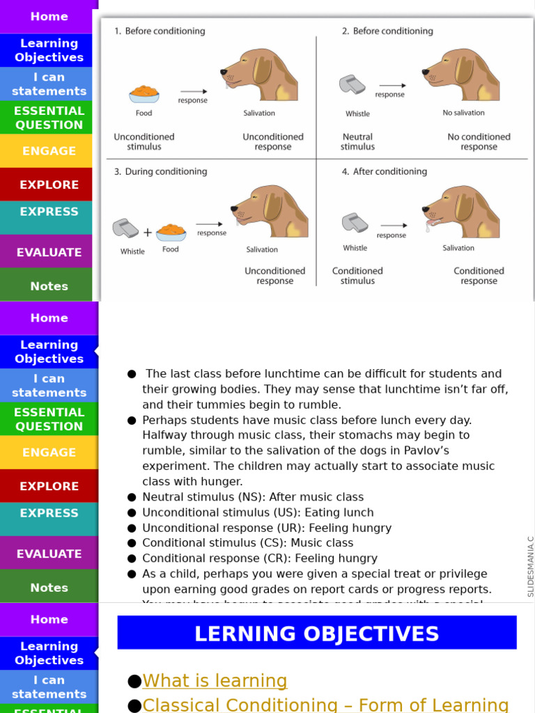 Chapter Learning | PDF | Classical Conditioning | Reinforcement