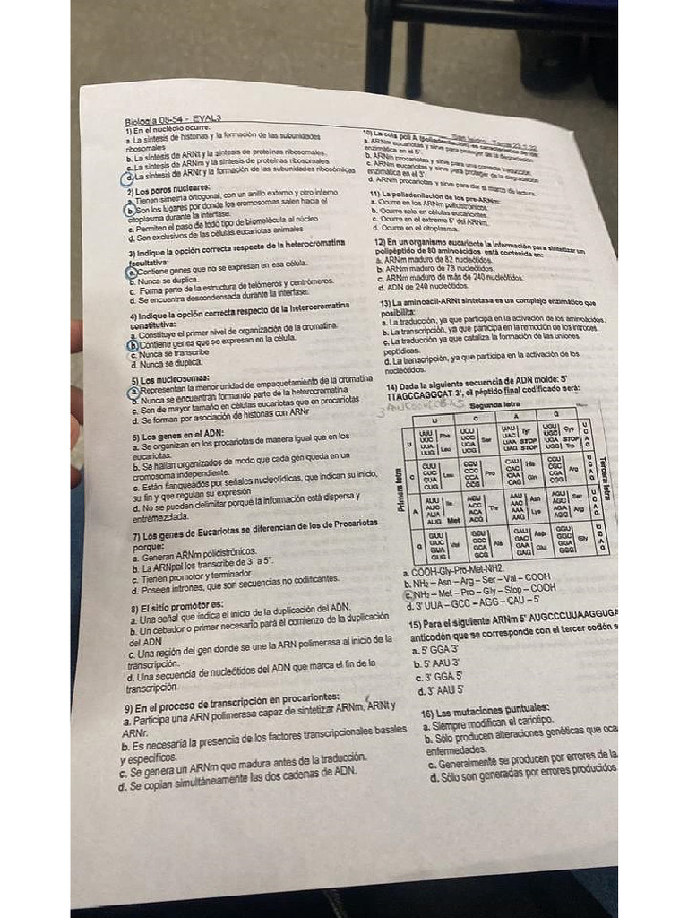 Bio (Modulo 3) | PDF