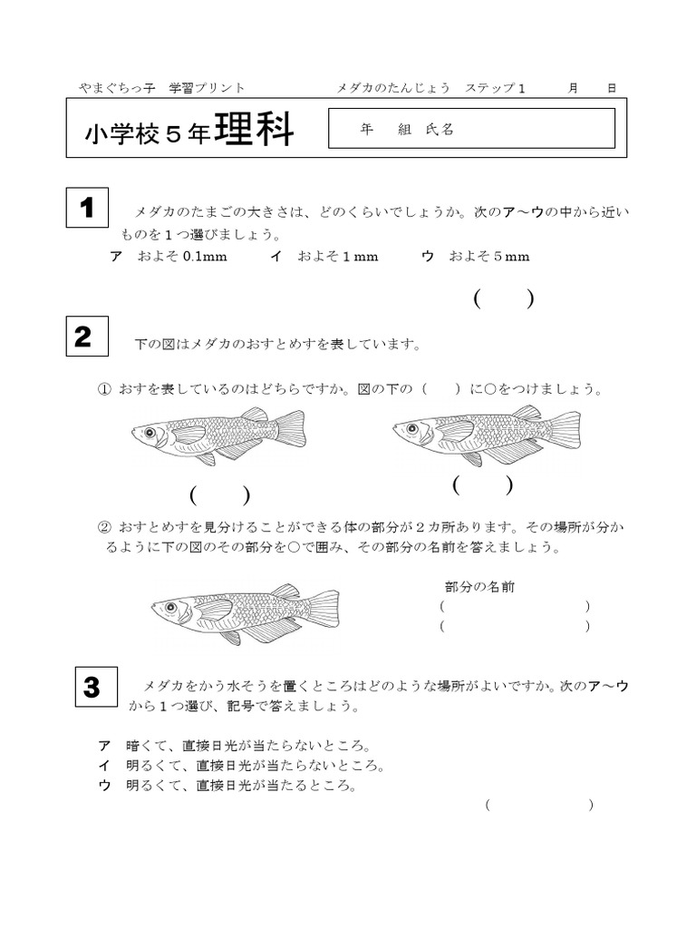 30 Yama 3rikaa4 | PDF