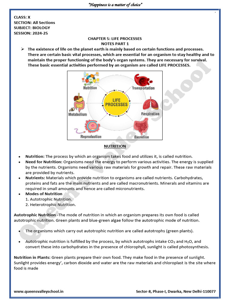 Class X Science (Biology) Chapter-5 Life Processes Notes Part-1 | PDF ... Class X Science (Biology) Chapter-5 Life Processes Notes Part-1 | PDF ...
