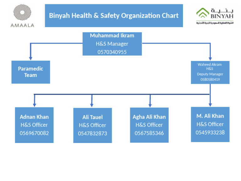 HSE Organization Chart | PDF
