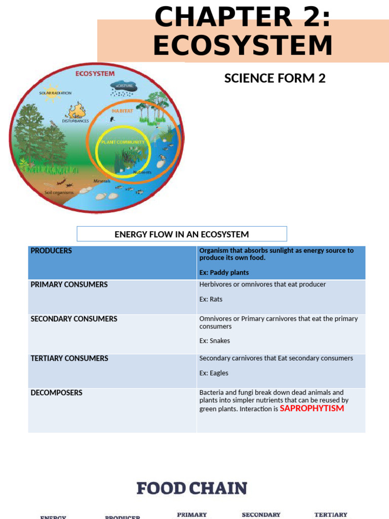Chapter2 SC Form 2 | PDF | Science & Mathematics