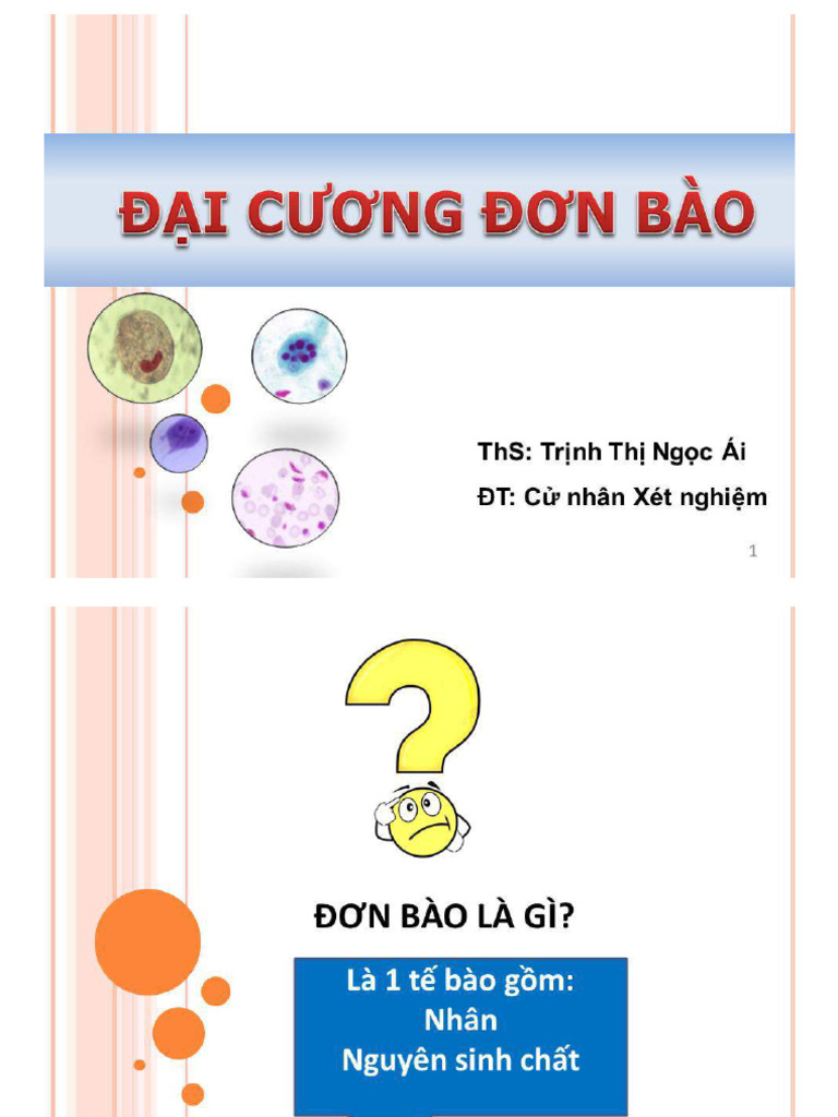 Bài Gi NG KST2 | PDF