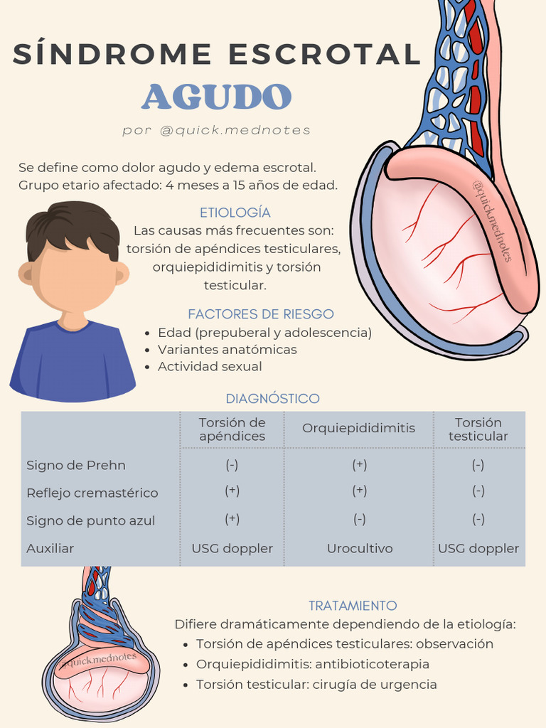 Escroto Agudo - Quick - Mednotes | PDF