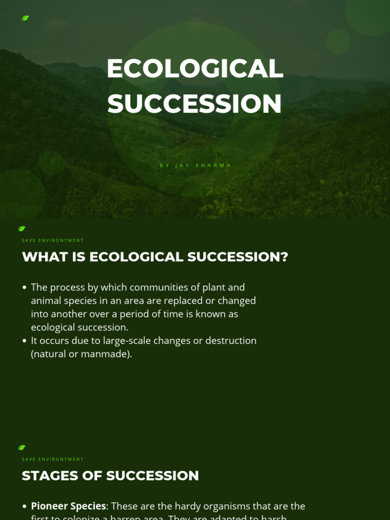 Stages of Ecological Succession | PDF | Predation | Food Web