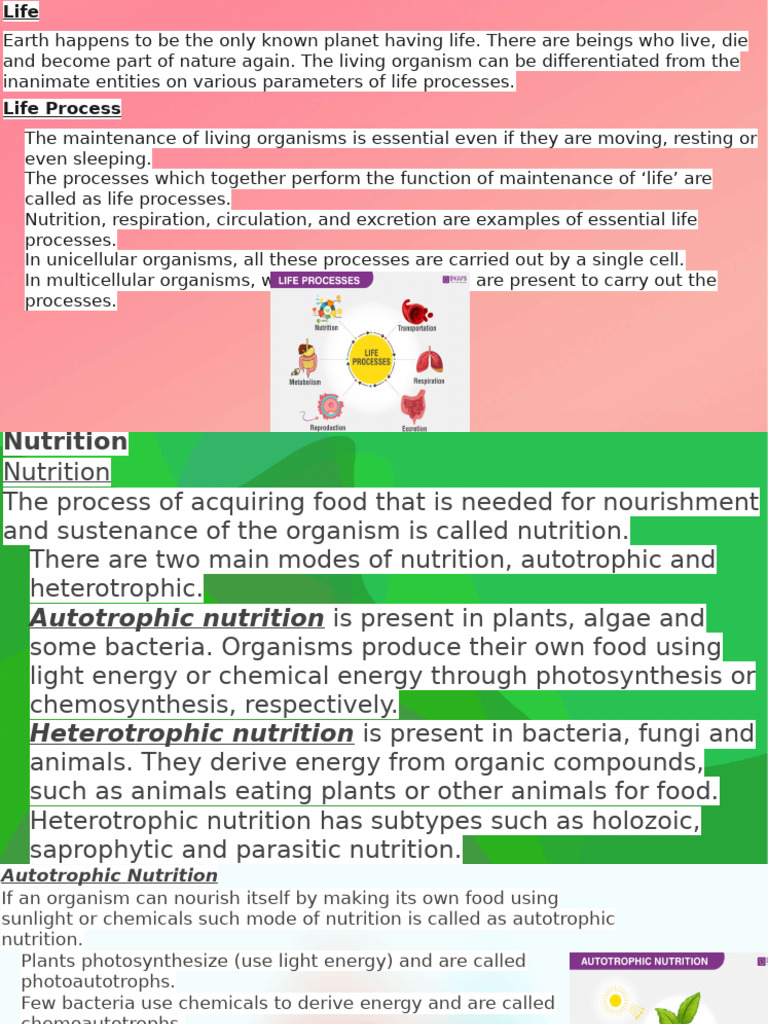 Class 10th Life Process | PDF | Diet & Nutrition | Nutrition