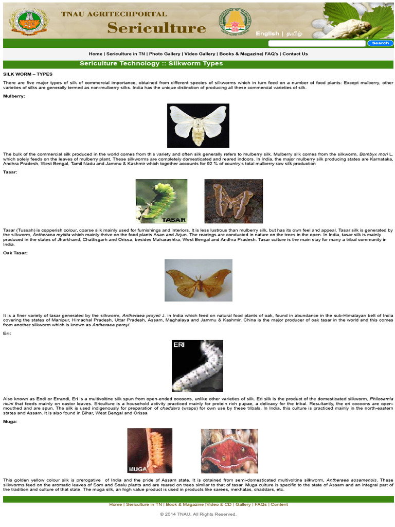 Types of Silkworms in India | PDF | Silk | Lepidoptera