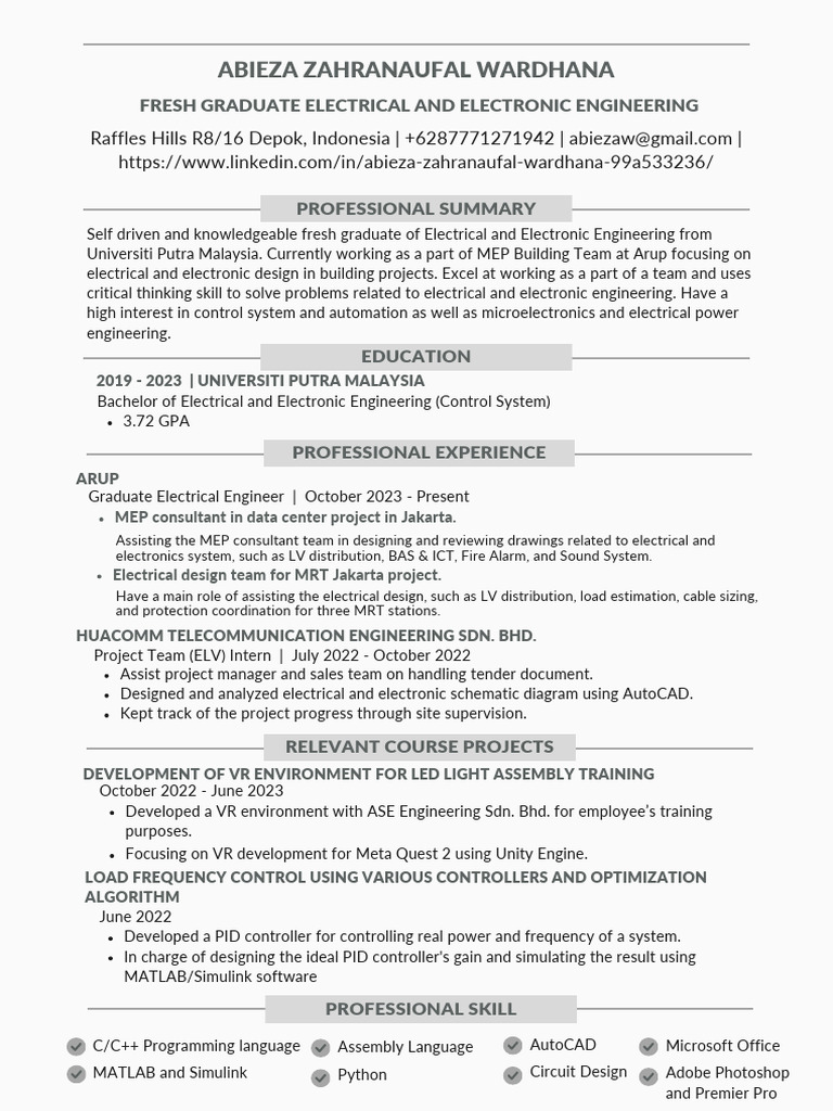 Abieza - CV Old | PDF | Electronic Engineering | Engineering