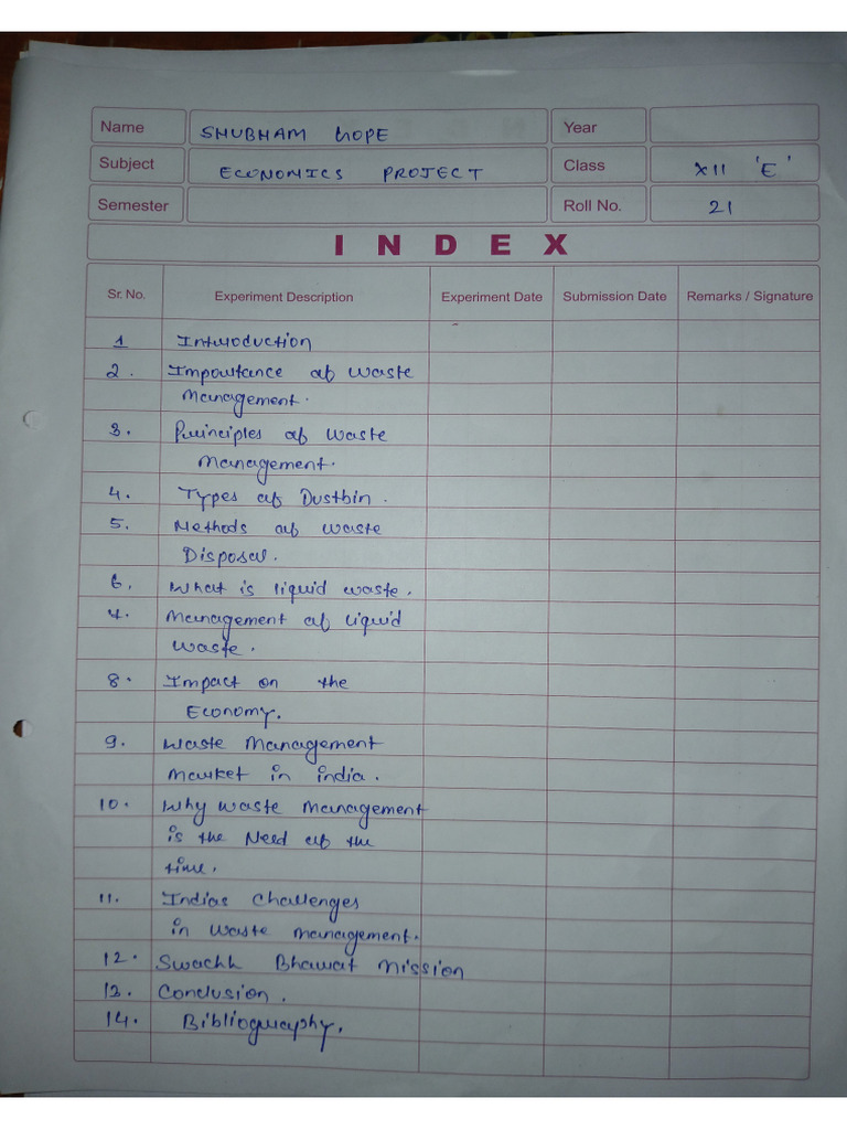 Economics - Project Work | PDF