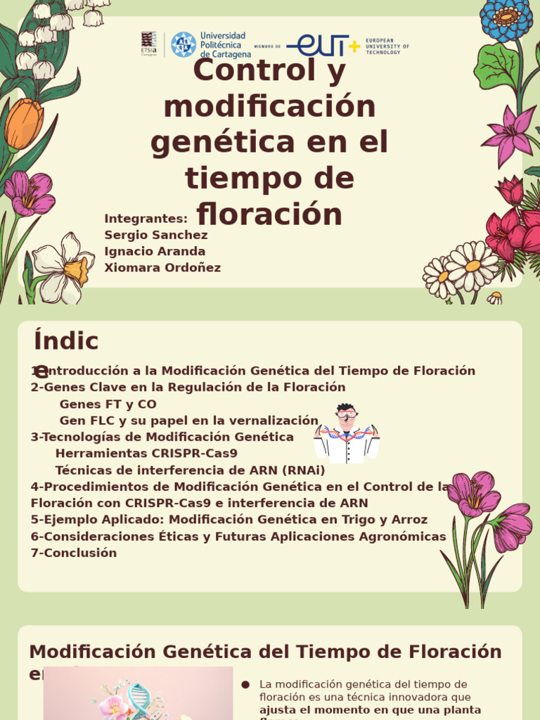 Control Genetico de La Floracion FINAL | PDF | Gene | Rna