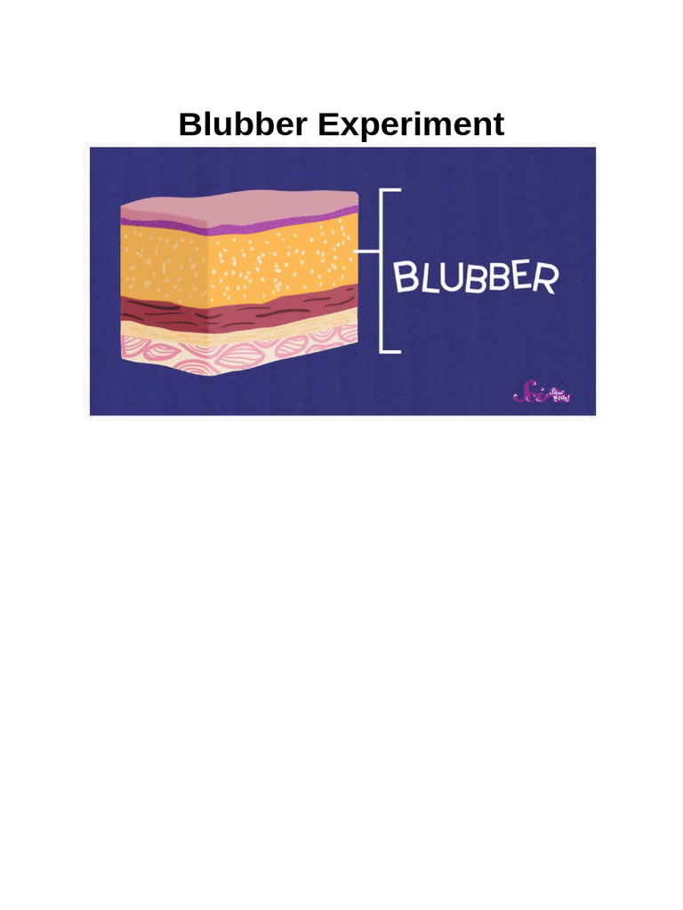 Blubber Experiment Answers | PDF | Experiment | Science