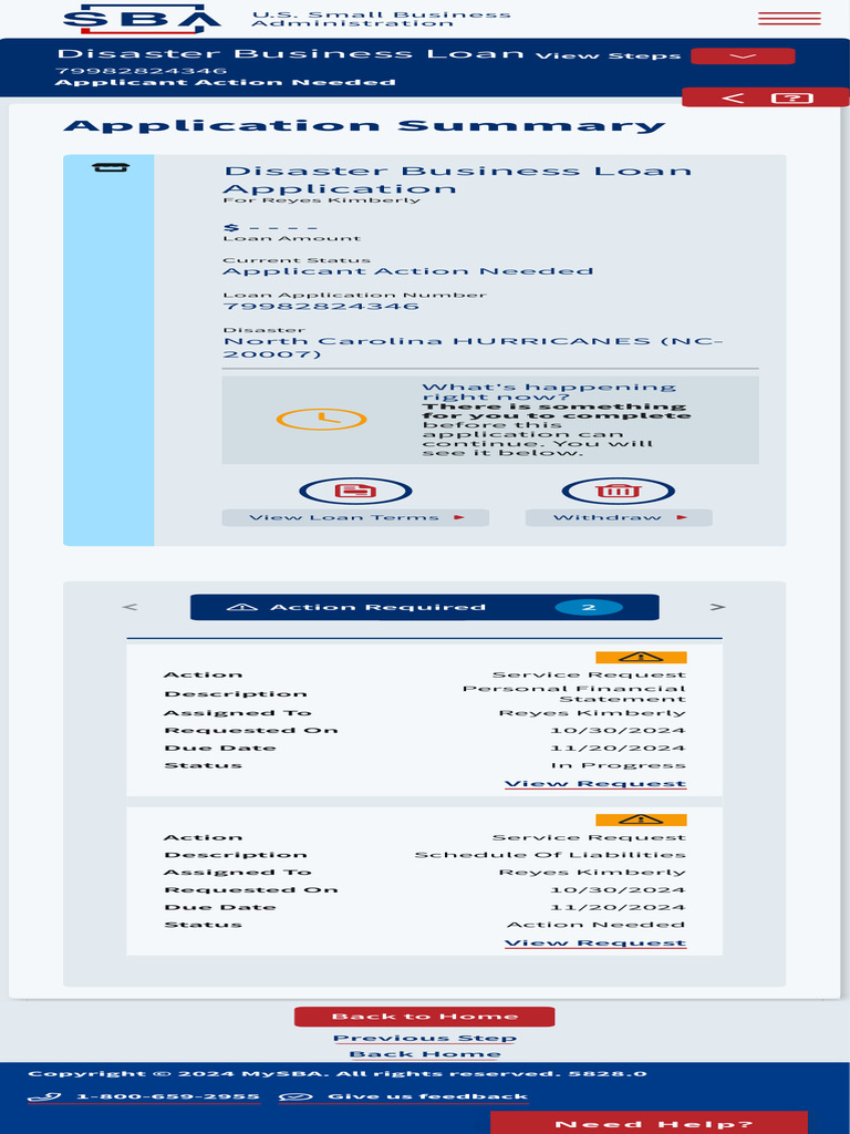 Loan Application - Summary - MySBA | PDF