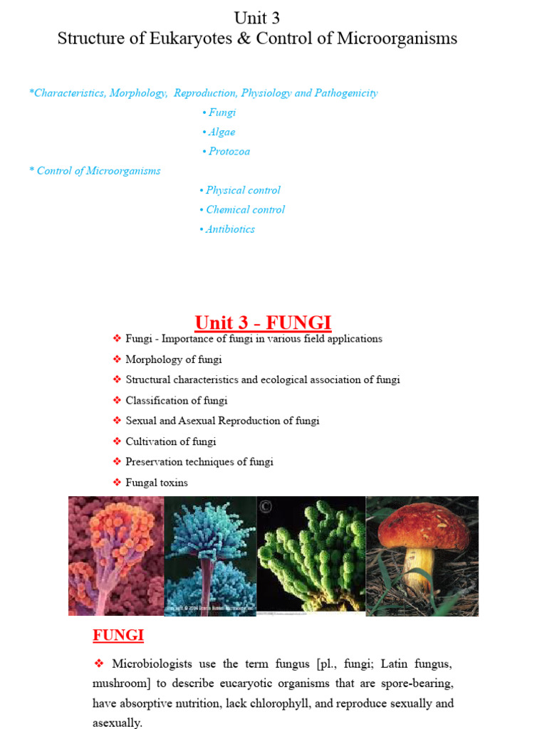 Unit III | PDF | Fungus | Penicillin