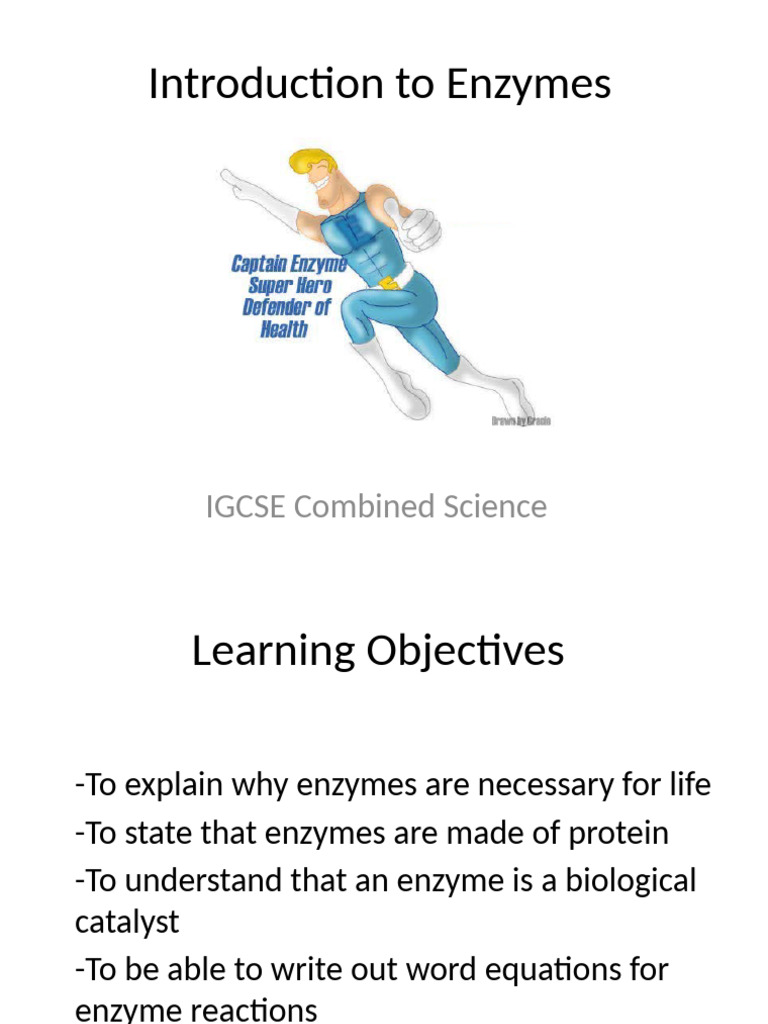Introduction To Enzymes | PDF | Wellness
