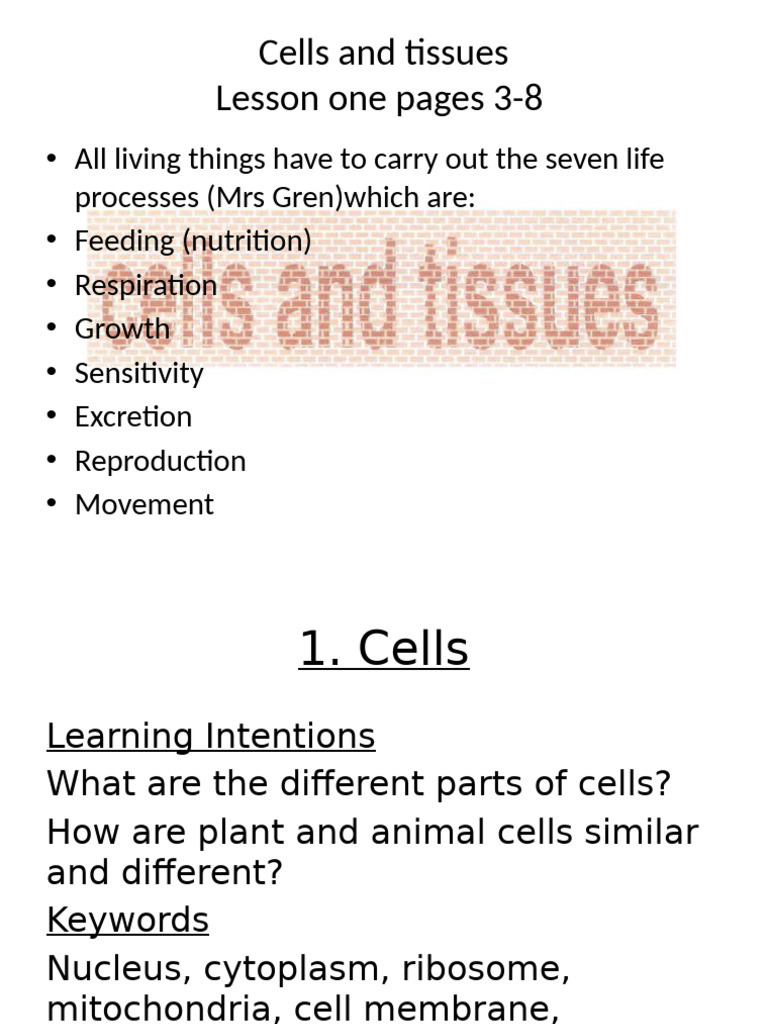 Cells and Tissues Lesson One | PDF | Cell (Biology) | Chloroplast