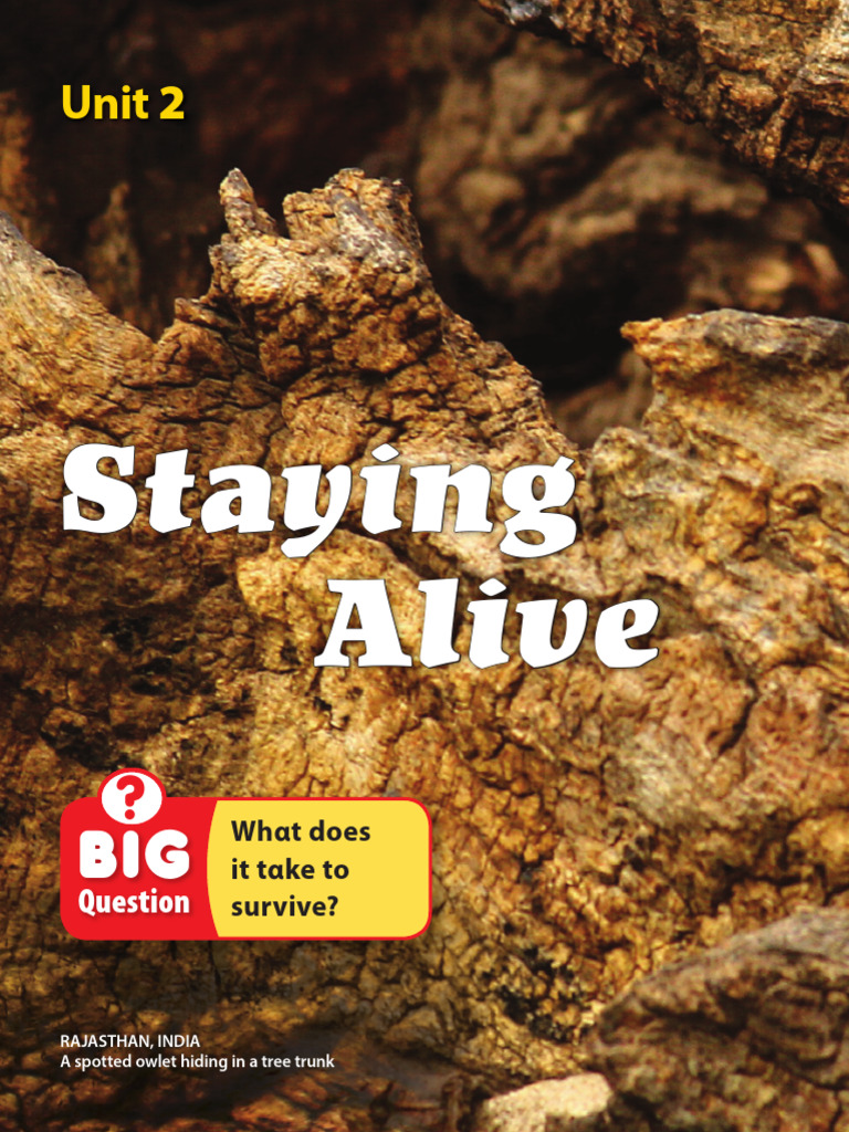 Students Book RH G2A U2 L1 A Lovely Birthday Present 191205114836 | PDF | Linguistics