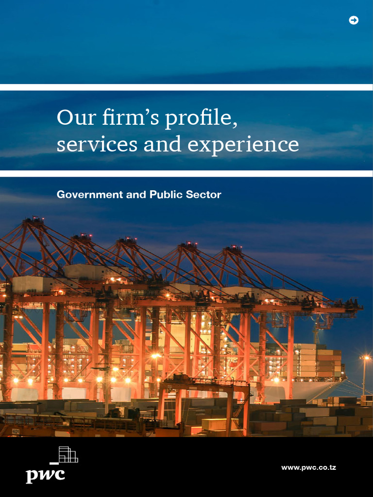 Goverment and Public Sector Capability Statement | PDF | Audit | Accountant