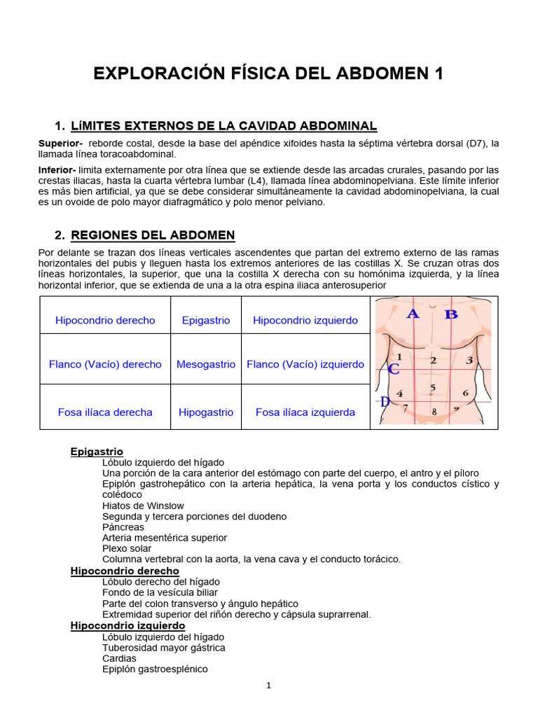 Exploración Física Del Abdomen Guía Completa Pdf Abdomen
