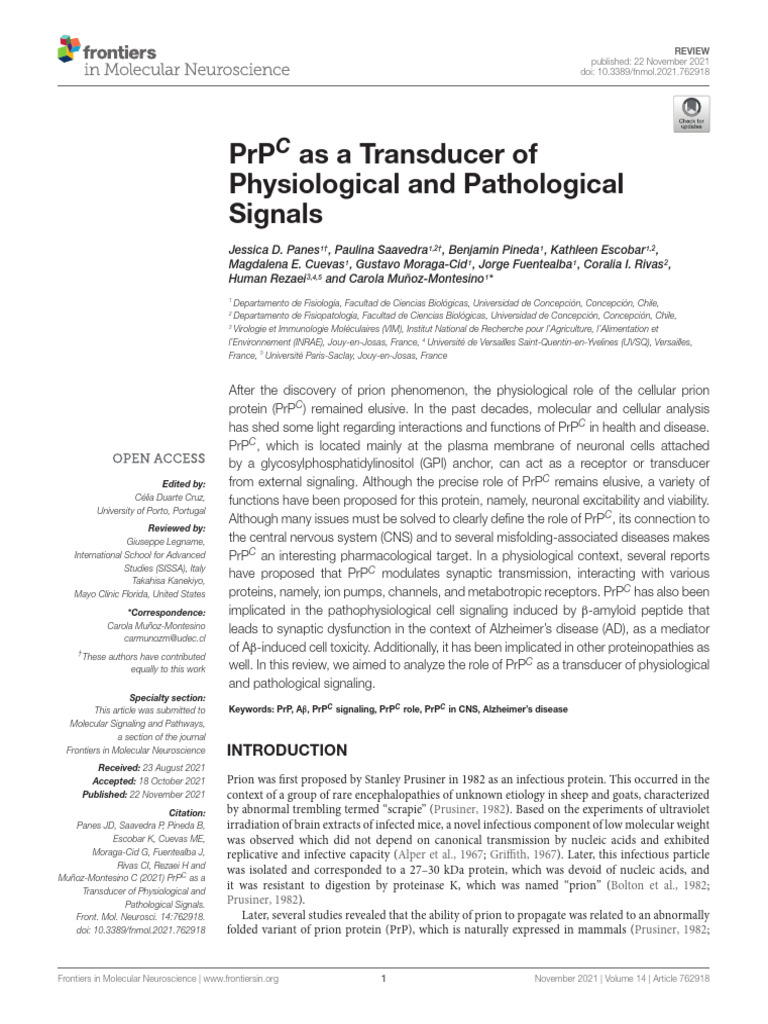 Panes Et Al 2021 - PRPC As A Transducer of Physiological and ...