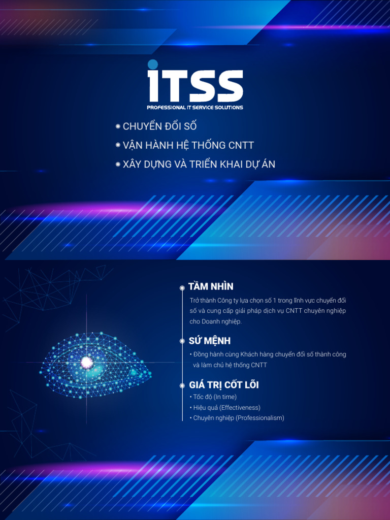 H Sơ Năng L C Công Ty TNHH ITSS | PDF