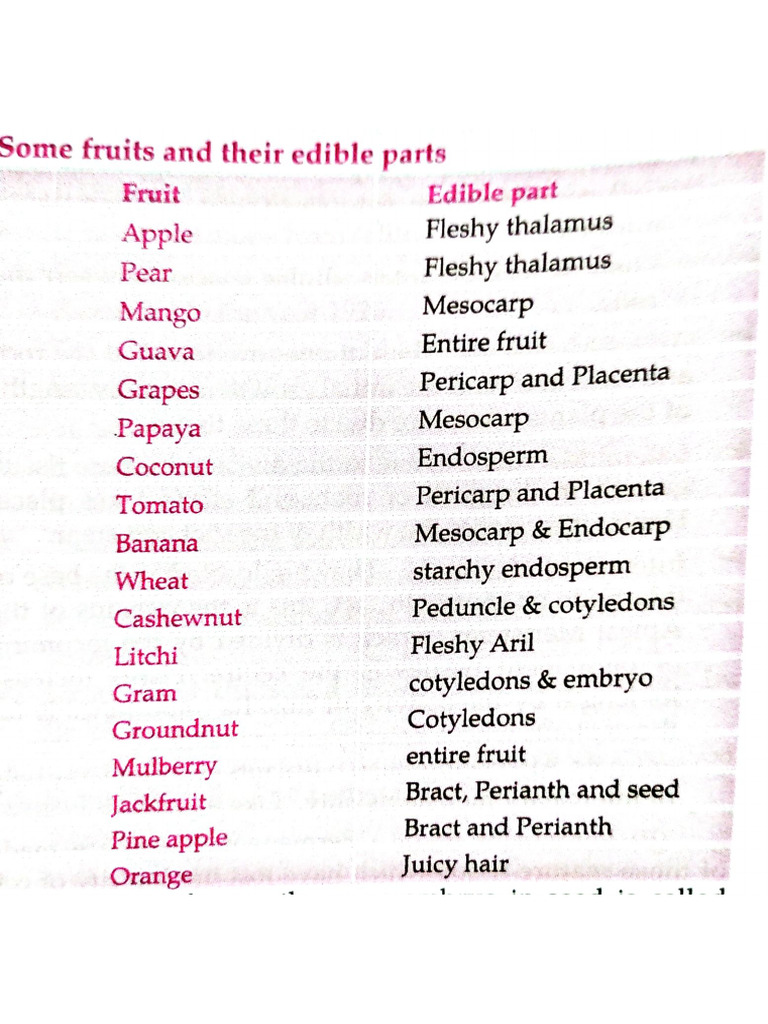 Edible Fruit Parts | PDF
