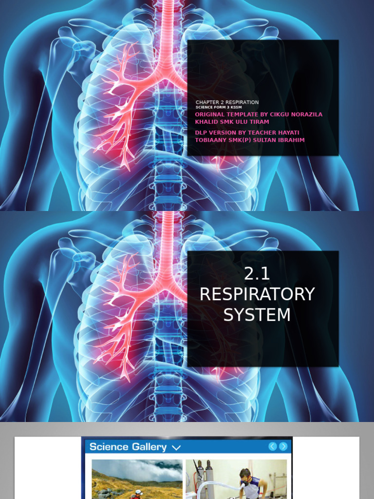 Science Form 3 | PDF | Stoma | Respiratory System