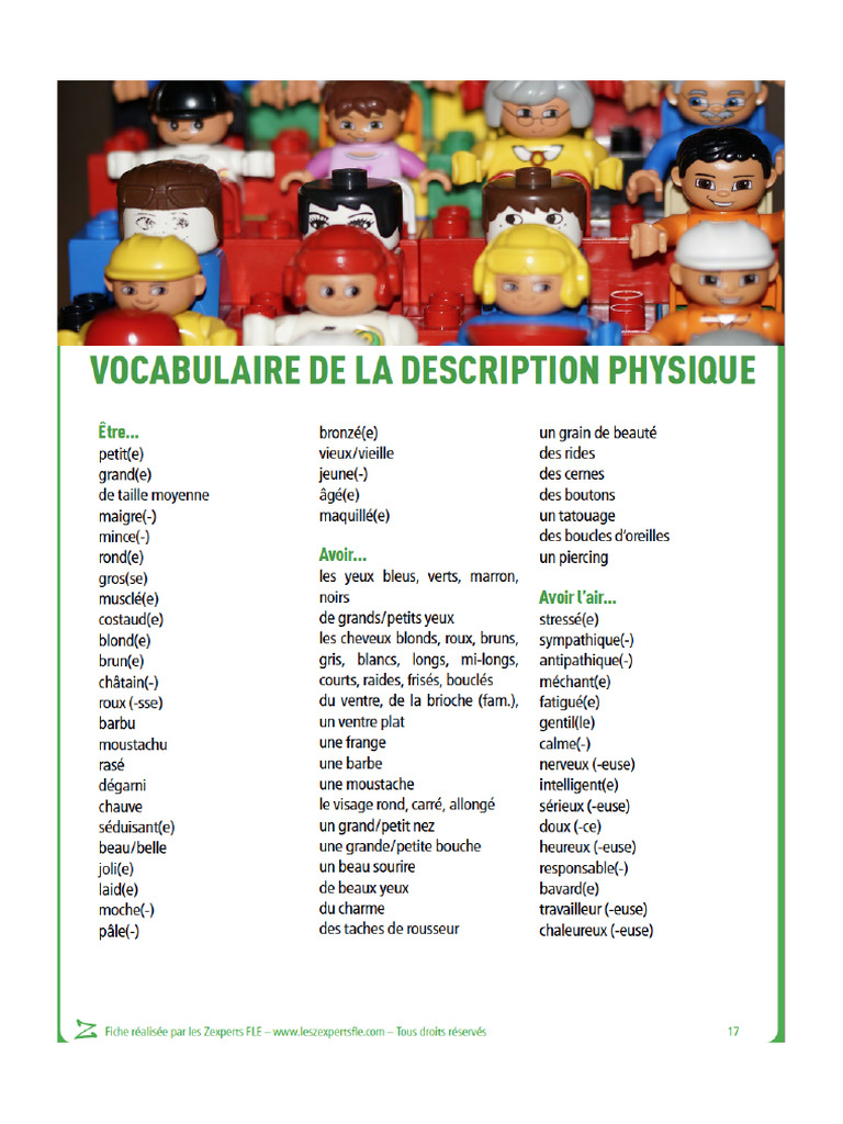 Vocabulaire Description Physique | PDF
