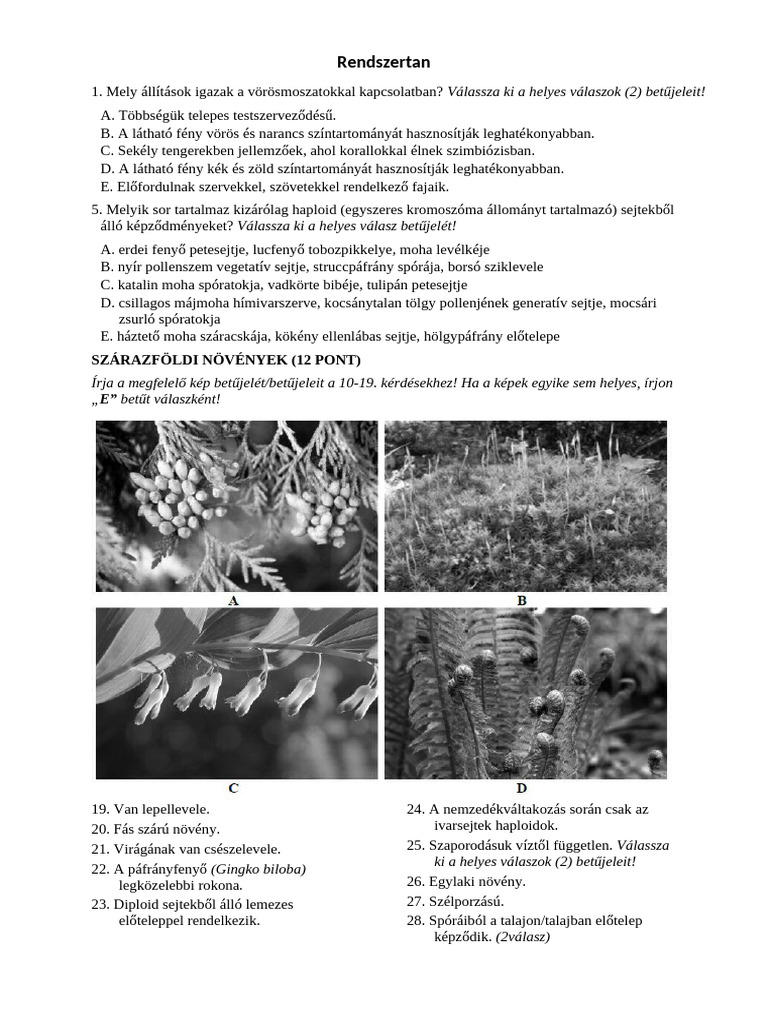 Rendszertan Oktv ISM | PDF