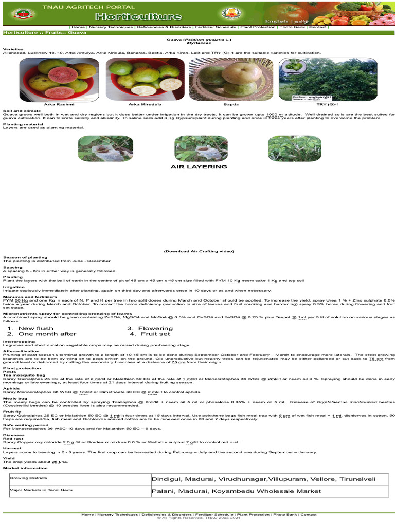 Horticulture Fruits Guava | PDF | Soil | Horticulture