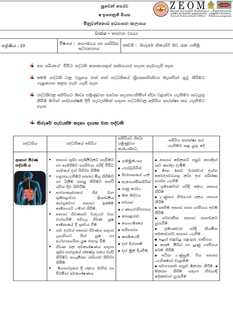 Let Us Maintain A Healthy Body Grade 10 Health Lesson 08 | PDF