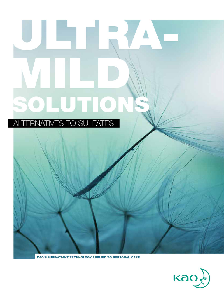 x0l BR Ultra Mild en 00 1905 | PDF | Surfactant | Foam