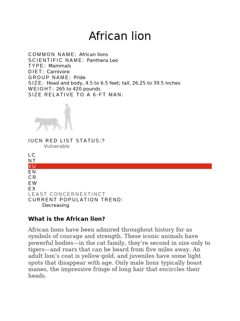 African lion | PDF | Lion | Hunting
