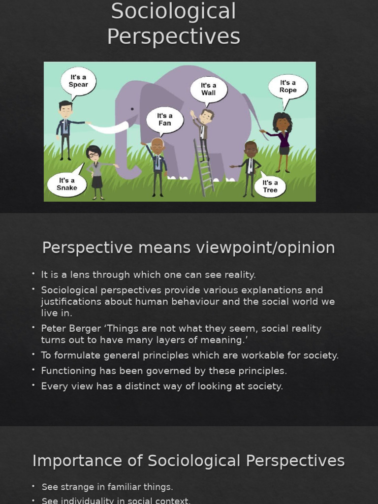 Sociological Perspectives | PDF | Sociology | Society