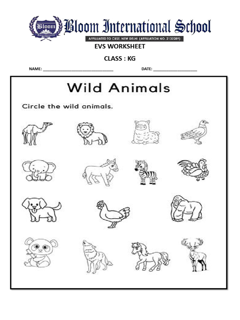 Shubhra Evs KG Worksheet | PDF