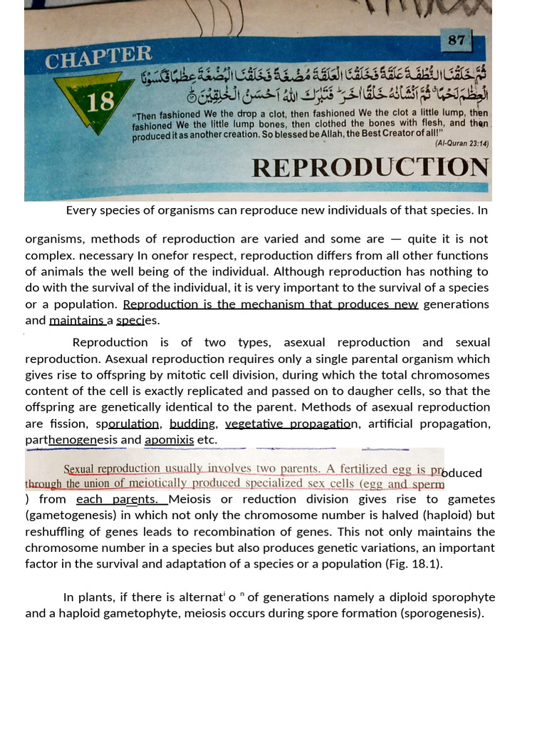 Document | PDF | Sexual Reproduction | Reproduction