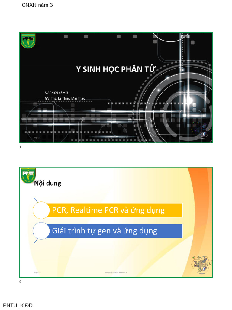 PCR - Realtime PCR | PDF