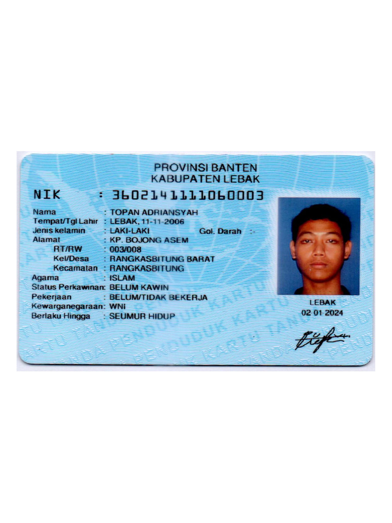 Scan CV | PDF