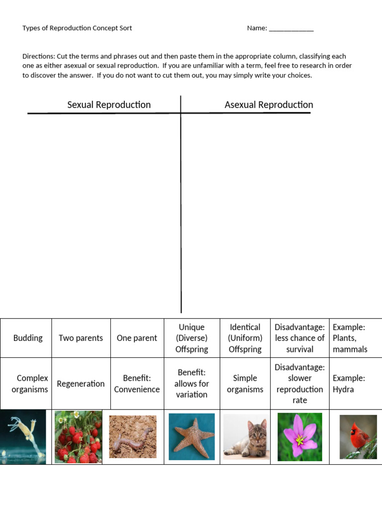Types of Reproduction Sort Guide | PDF | Reproduction | Sexual Reproduction