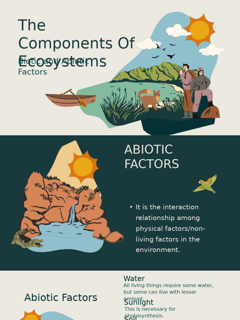 Ecosystem Components: Biotic & Abiotic Factors | PDF | Ecosystem | Plants